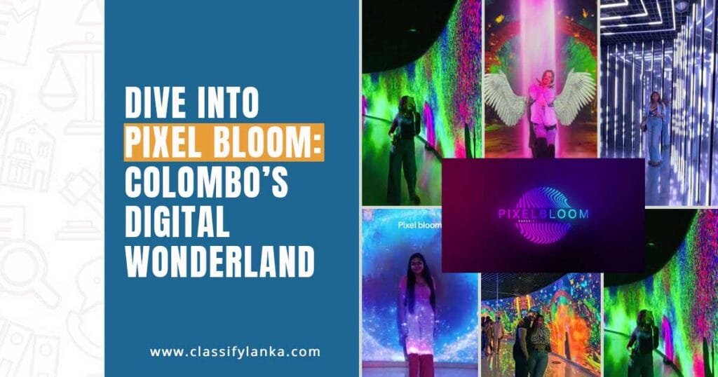 Discover Pixel Bloom: Colombo's Digital Wonderland | Local SEO Business Listing